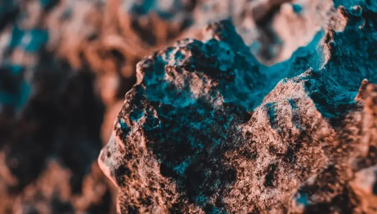 Is Soil A Compound Or Mixture? (Explained for Beginners)