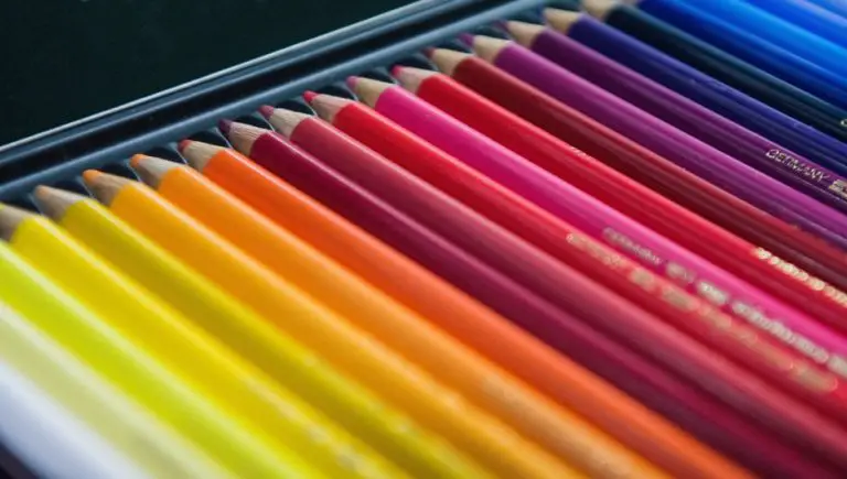 How To Enrich Soil? Here's Everything You Should Know