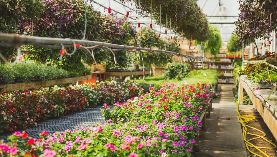 How To Build A Walipini Greenhouse? (Complete Answer)