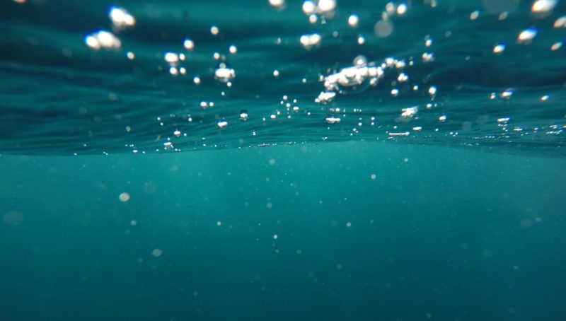 How To Build A Climate Battery Greenhouse? (Complete Answer)