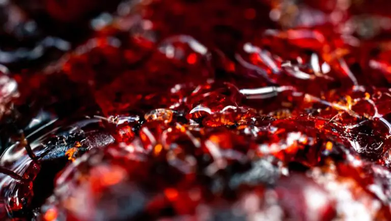 Is Tree Sap Flammable? Here's What You Should Know About It