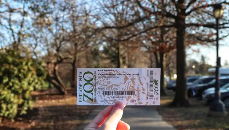 How To Make A Lottery Ticket Tree? (Explanation Inside!)