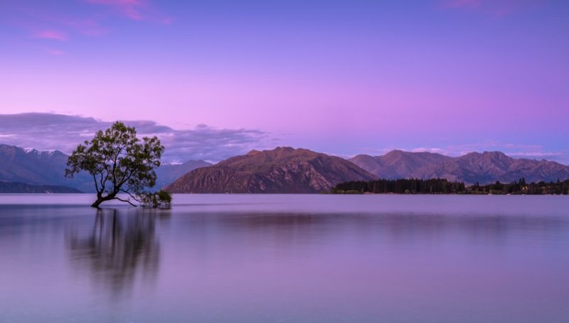 What Is Landscape Mode In Camera? (Explanation Inside!)