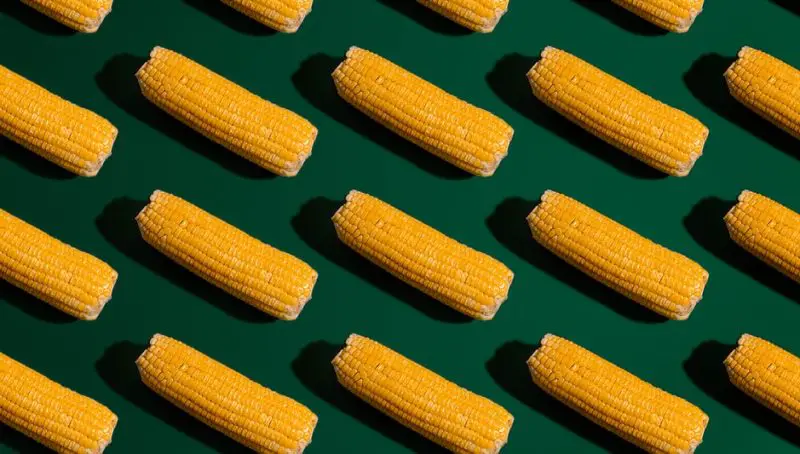 When Does Corn Pollination Occur? (Explanation Inside!)