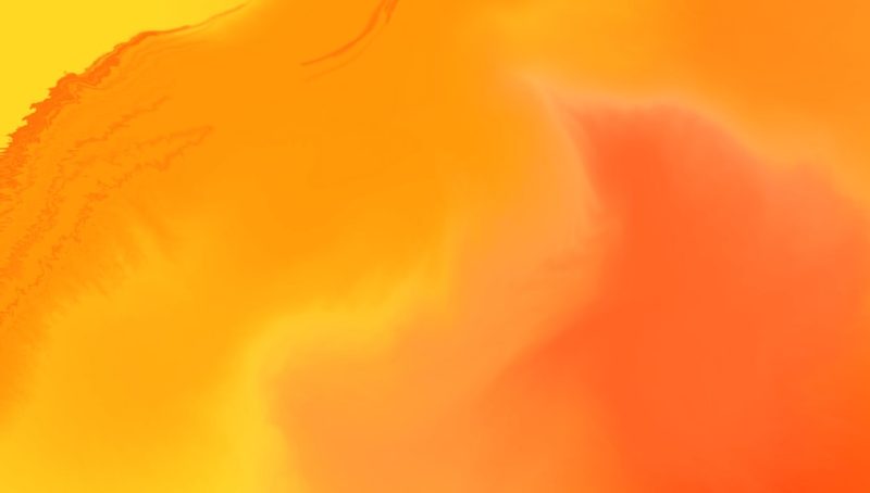 How To Grow Orange Seeds? (Here's What People Don't Know)