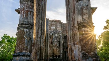 What Tree Does Cinnamon Come From? (Explanation Inside!)