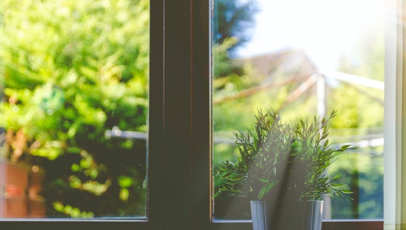 How To Landscape Around Window Wells? (Detailed Guide)