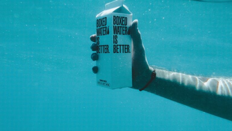 How To Make Compost Maker Powder? (Easy & Clear Answer)