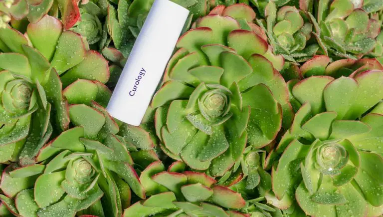 Where Are Toro Lawn Mowers Made? (Finally Explained!)