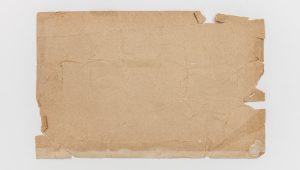 How To Use Shredded Paper As Mulch? Clearly Explained!