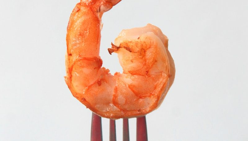 How To Compost Shrimp Shells? (Explained for Beginners)