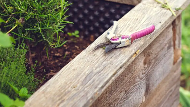 How Much Compost Calculator? (Here's What You Should Know)