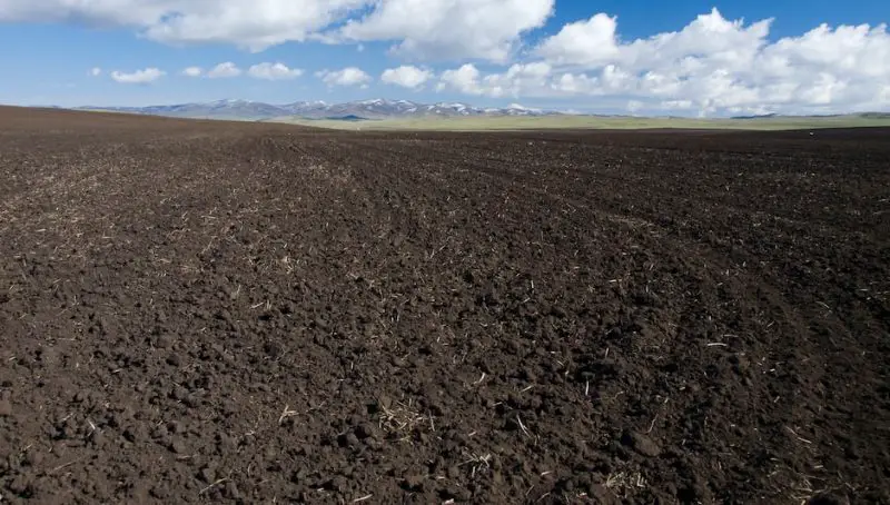 How To Level A Sloping Lawn? The Easiest Explanation