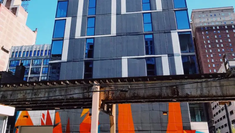 What Is The State Tree Of Illinois? Clearly Explained!