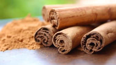 Where Do Cinnamon Trees Grow? (Explained for Beginners)