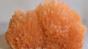 How To Apply Gypsum To Soil? The Easiest Explanation