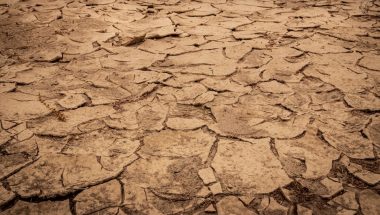 What Is Clay Soil? Here's Everything You Should Know