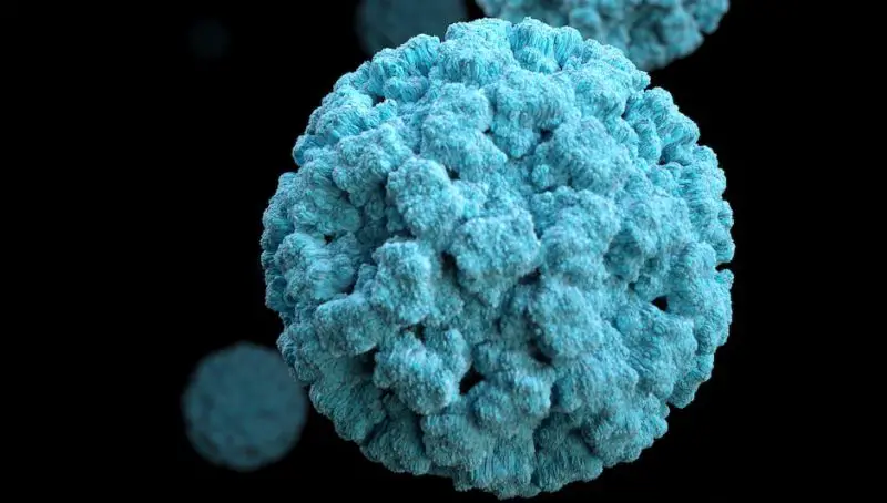 What Is Viral Disease In Plants? (Explained for Beginners)