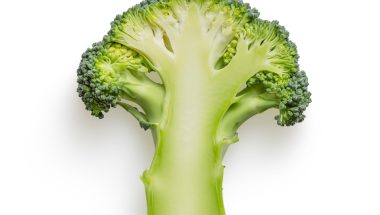 How To Grow A Cabbage Plant Indoors? Complete Explanation