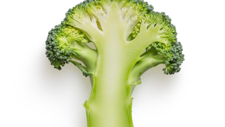 How To Grow A Cabbage Plant Indoors? Complete Explanation