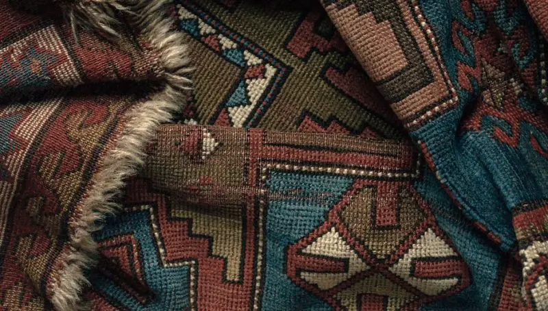 How To Shade Outdoor Plants From The Sun? (Helpful Examples)