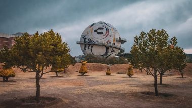 How To Solarize Soil? Everything You Need To Know