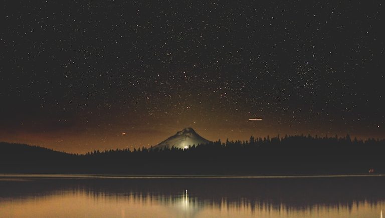 How To Grow Timothy Grass? (Easily Explained Inside!)