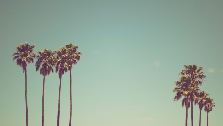 How To Prune Endless Summer Hydrangeas? Clearly Explained!