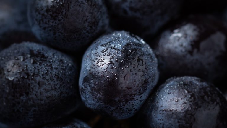 How To Prune Grapes In The Fall? (Easy & Clear Answer)