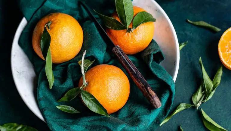 How To Plant Orange Seeds? (Here's What You Should Know)