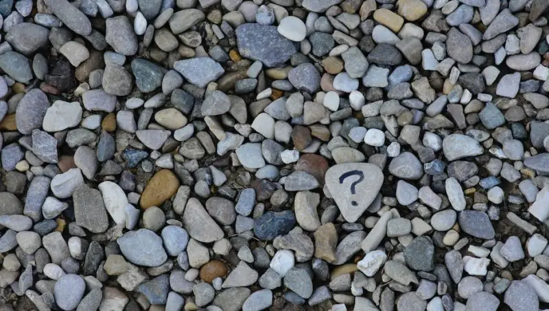 What Type Of Soil Is Gold Found In? (Check This First)