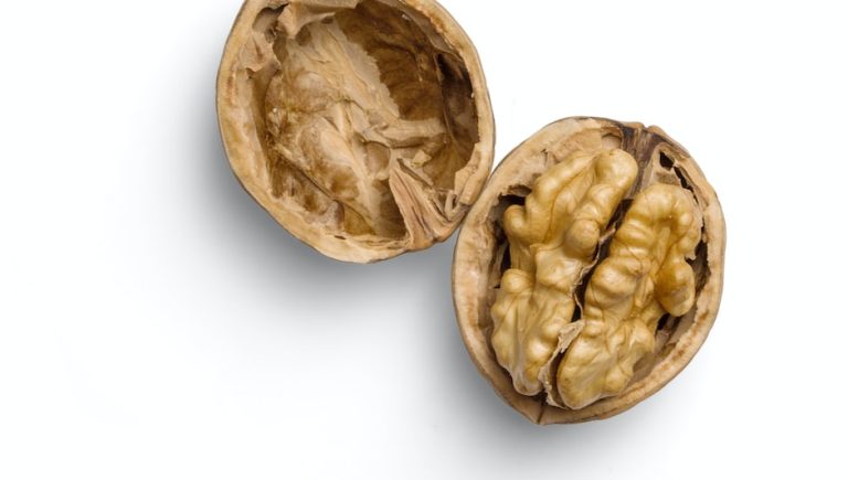 How To Grow Black Walnut Trees From Seed? (Answer Inside!)