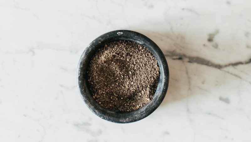 How To Plant Sugar Cane Seeds? (Explanation Revealed!)