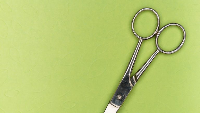 When Should You Mow New Grass? (Explanation Inside!)